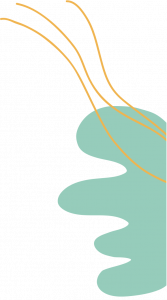 Become a Vision Keeper | The Zoo Society