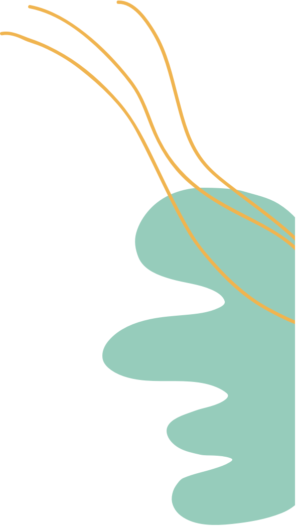 Become a Vision Keeper | The Zoo Society