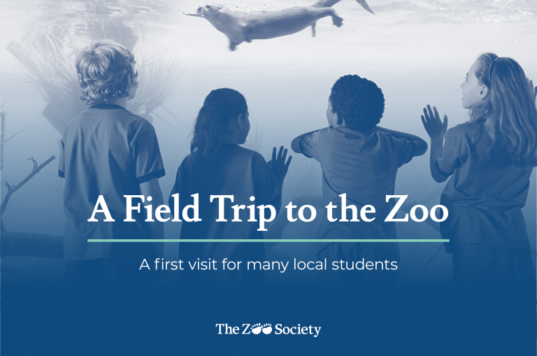 A Field Trip to the Zoo | The Zoo Society