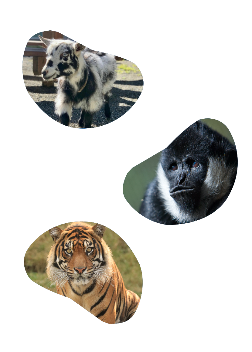 What We Support - The Zoo Society